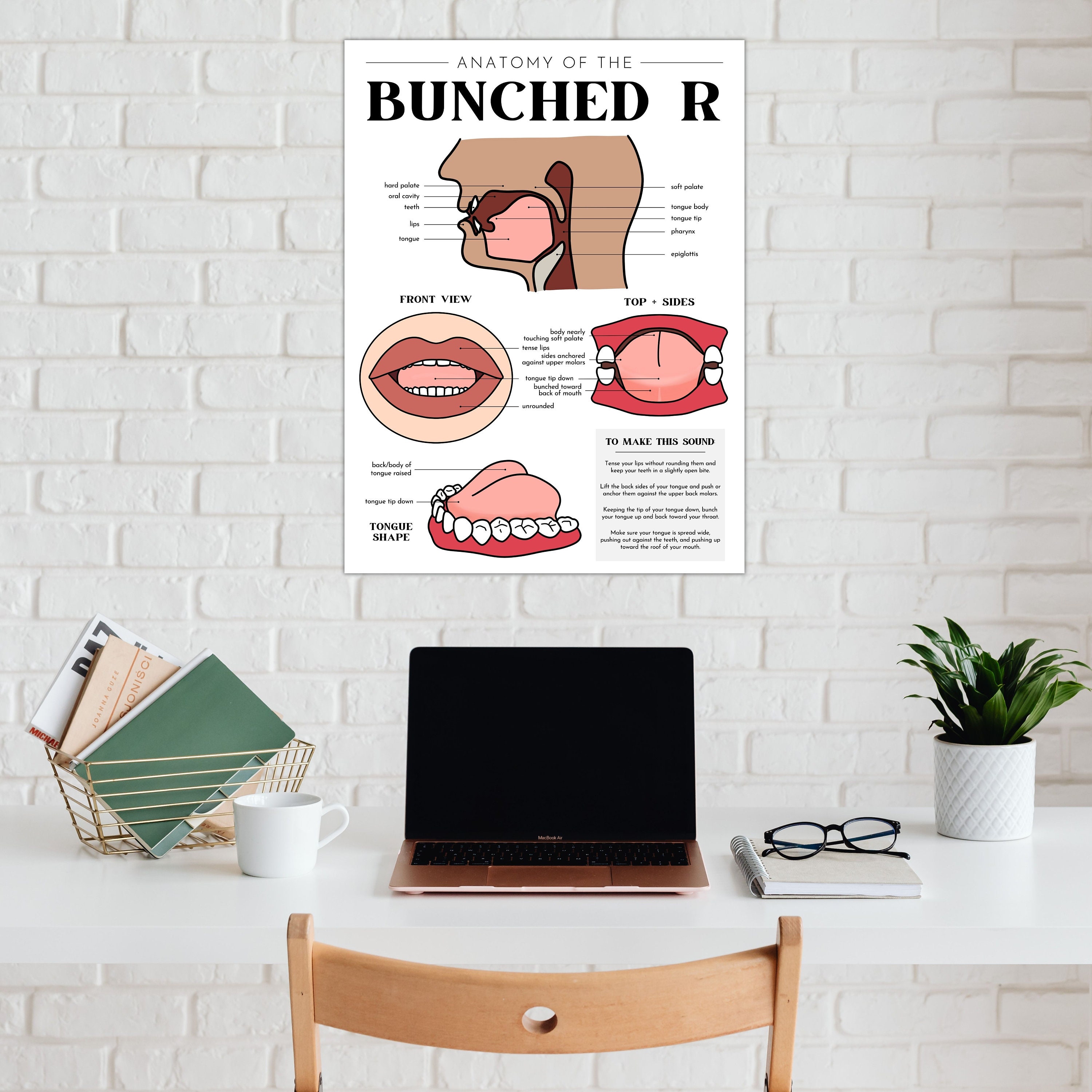 Anatomy of the Bunched R Speech Sound Poster, Speech Sound Cue Poster ...