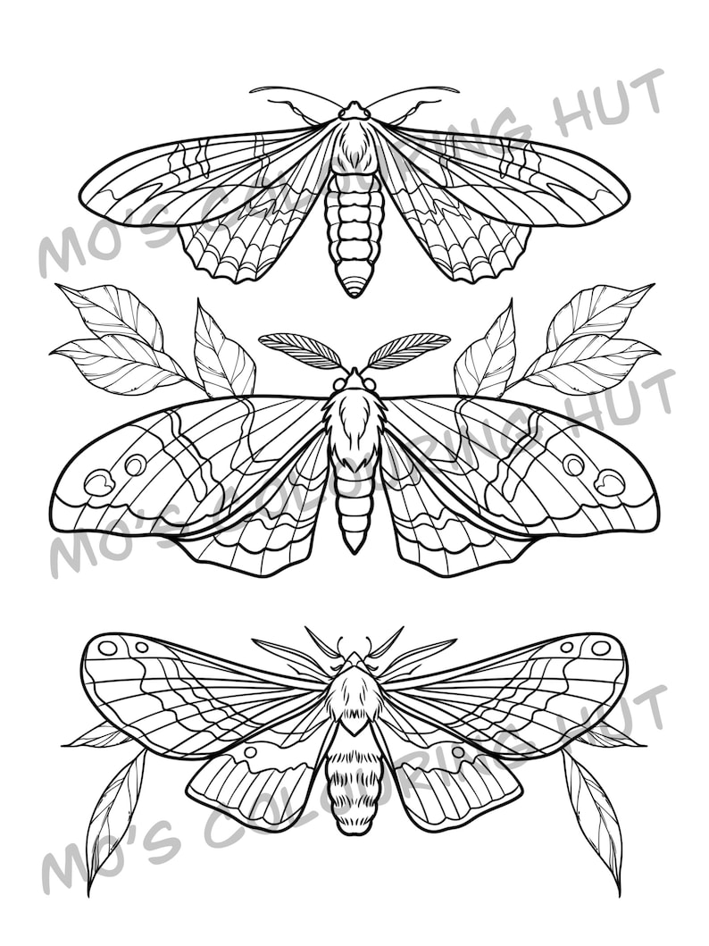 Moths - 10 Printable Colouring Pages | Instant Digital Download ...