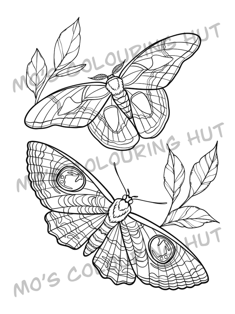 Moths - 10 Printable Colouring Pages | Instant Digital Download ...