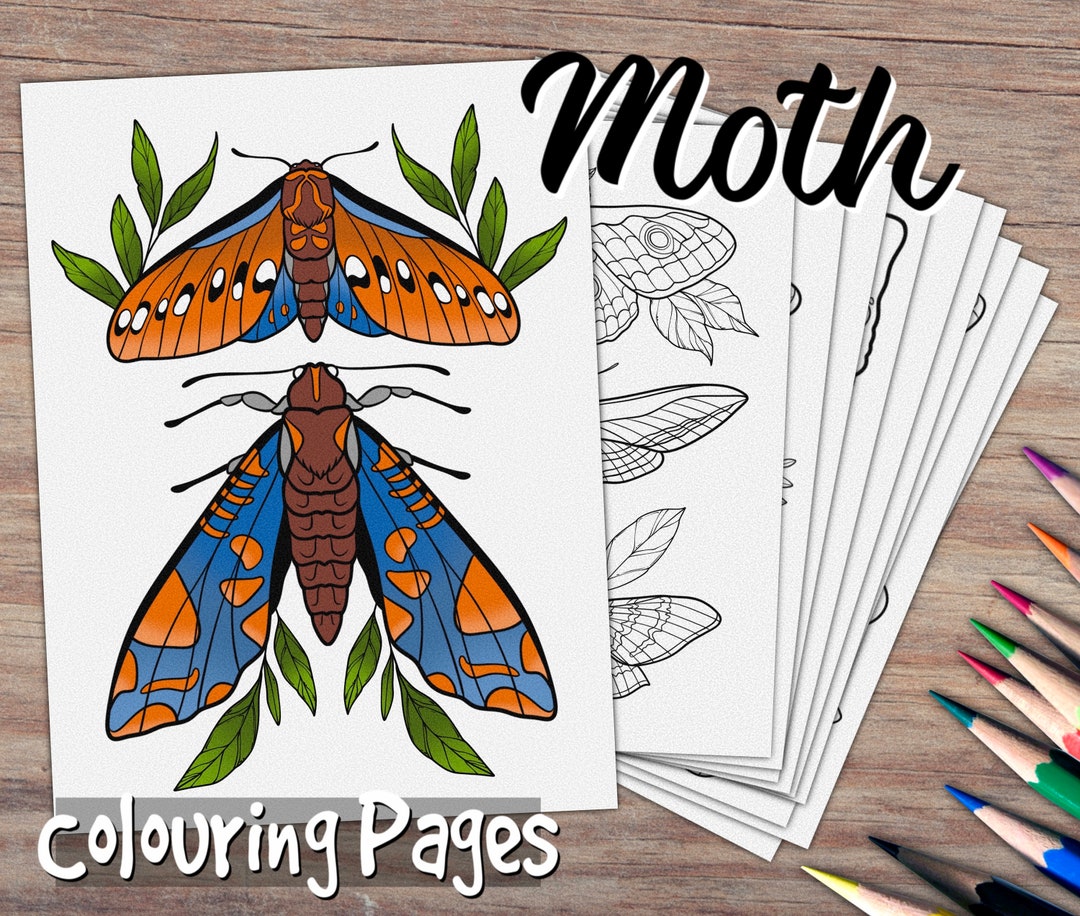 Moths - 10 Printable Colouring Pages | Instant Digital Download ...