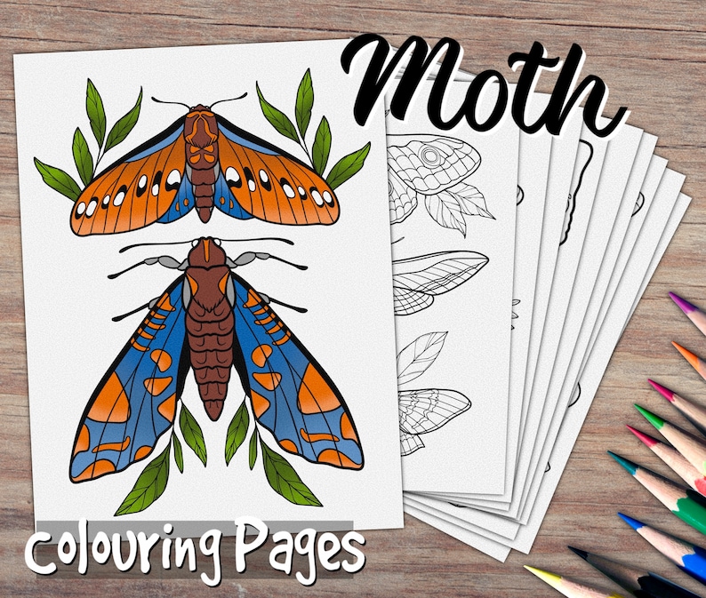 Moths - 10 Printable Colouring Pages | Instant Digital Download ...
