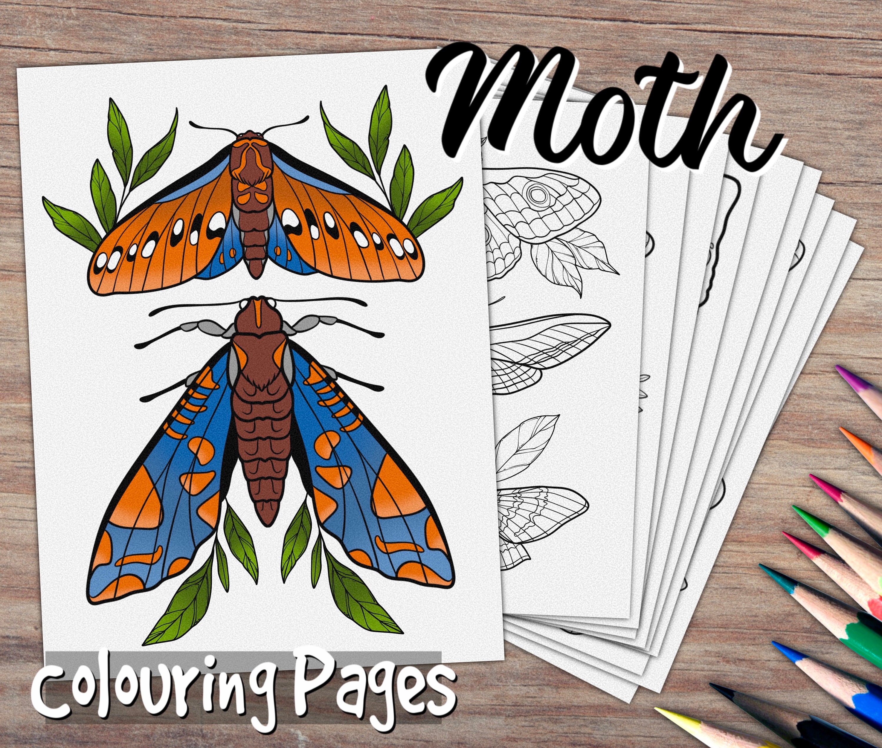 Moths - 10 Printable Colouring Pages | Instant Digital Download ...
