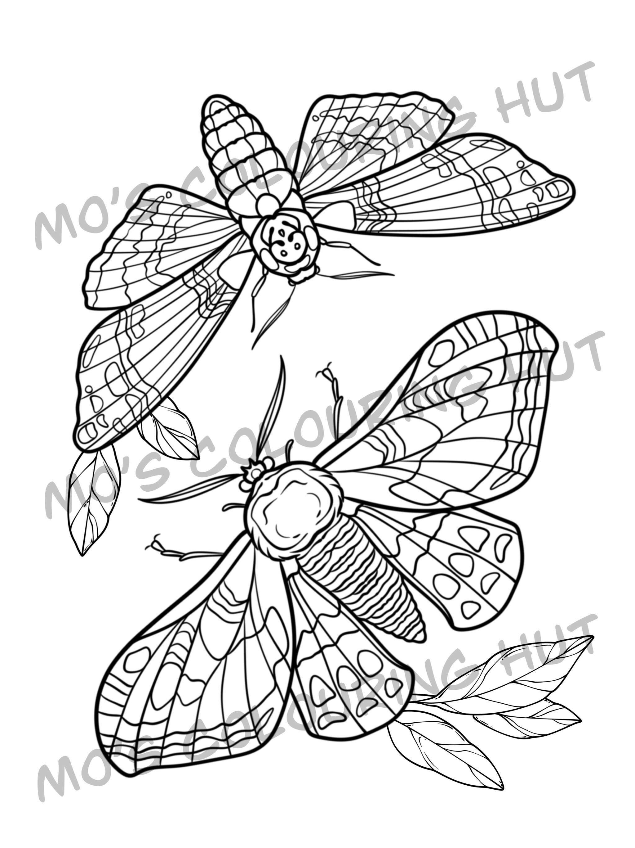 Moths - 10 Printable Colouring Pages | Instant Digital Download ...