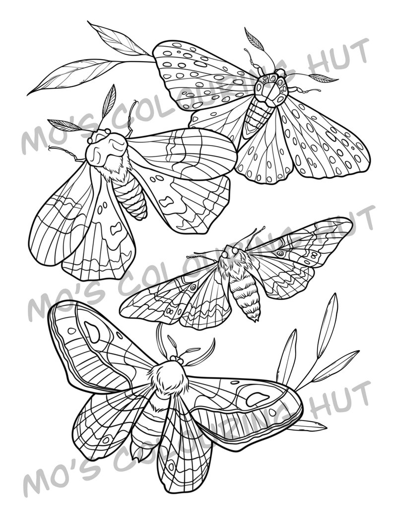 Moths - 10 Printable Colouring Pages | Instant Digital Download ...