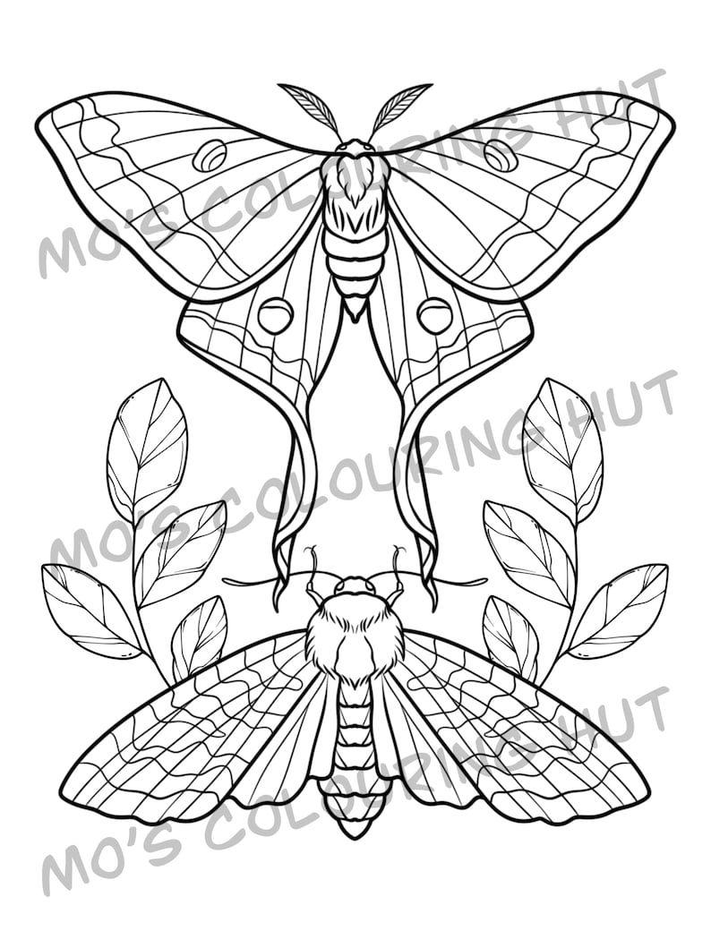 Moths - 10 Printable Colouring Pages | Instant Digital Download ...