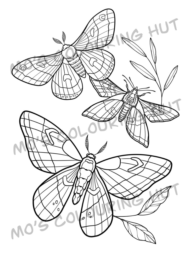 Moths - 10 Printable Colouring Pages | Instant Digital Download ...