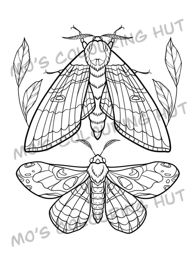 Moths - 10 Printable Colouring Pages | Instant Digital Download ...