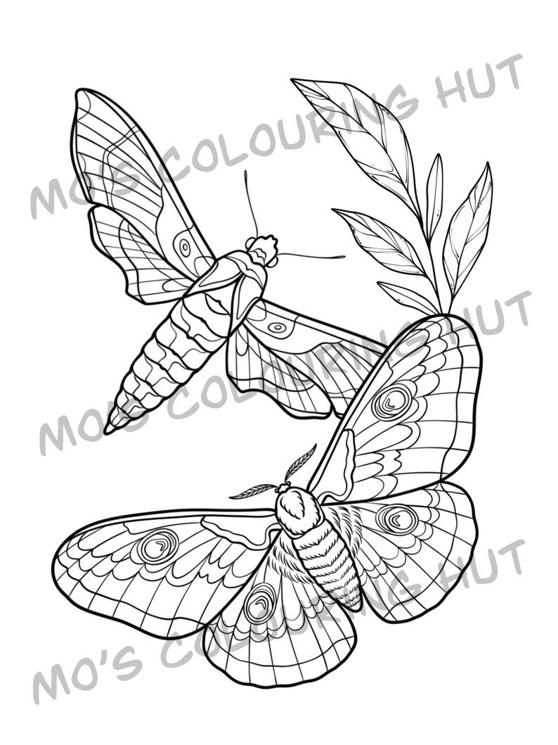Moths - 10 Printable Colouring Pages | Instant Digital Download ...