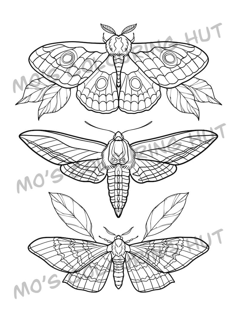 Moths - 10 Printable Colouring Pages | Instant Digital Download ...