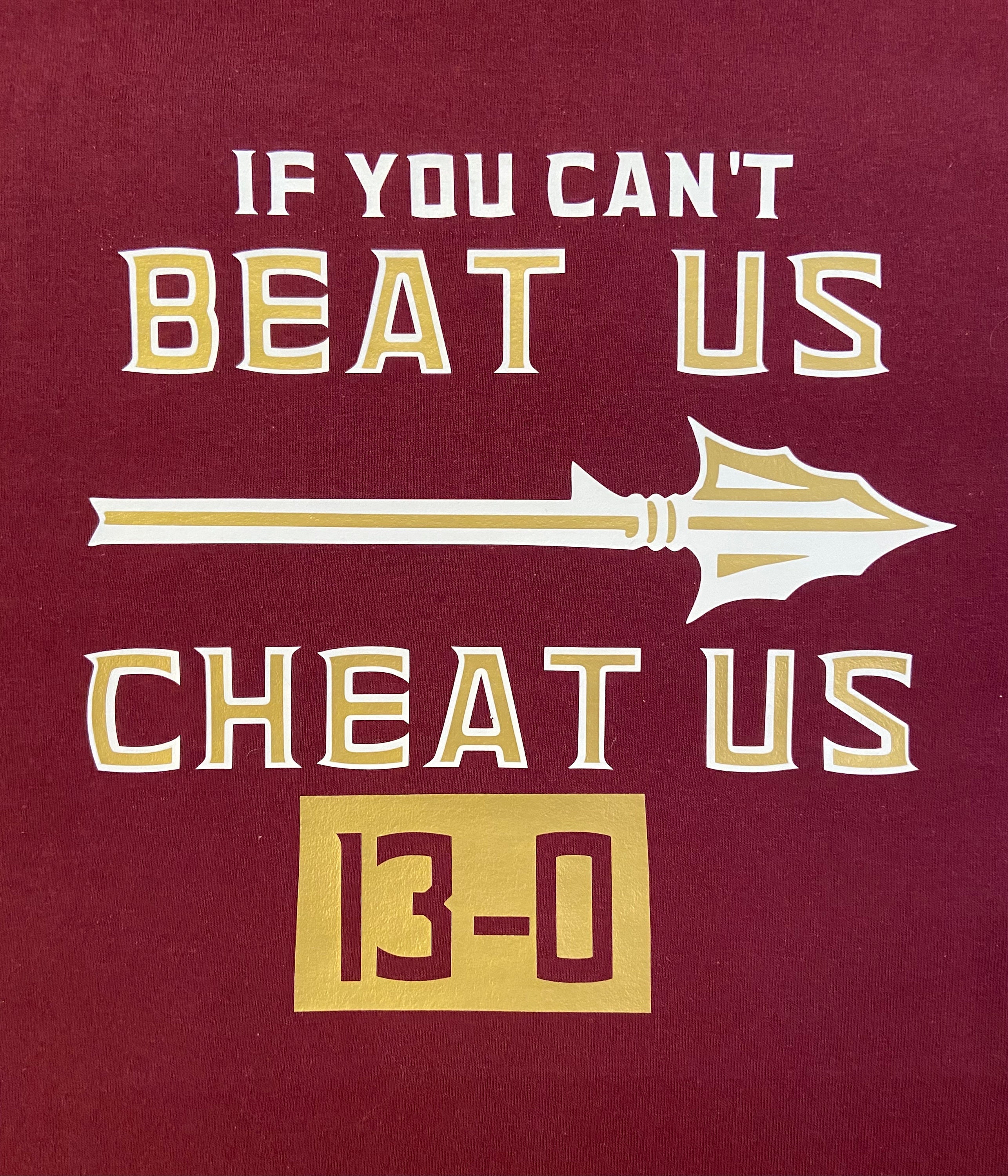 If You Can't Beat Us, Cheat Us T-shirt, Seminoles, Noles, FSU, Florida ...
