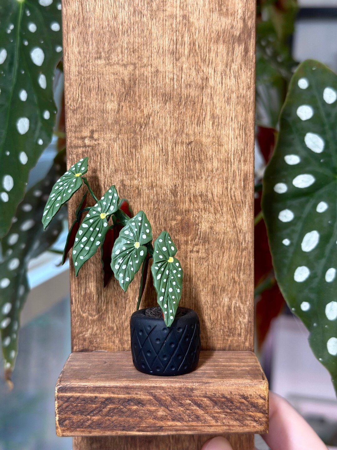 Handmade Miniature Clay Plant | Clay Plant Art | Wall Art | Mini Plant ...