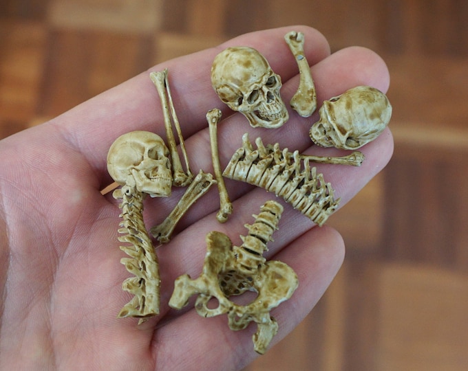 Miniature Human Bones, Horror Halloween Diorama, Terrarium, Room Box - Etsy