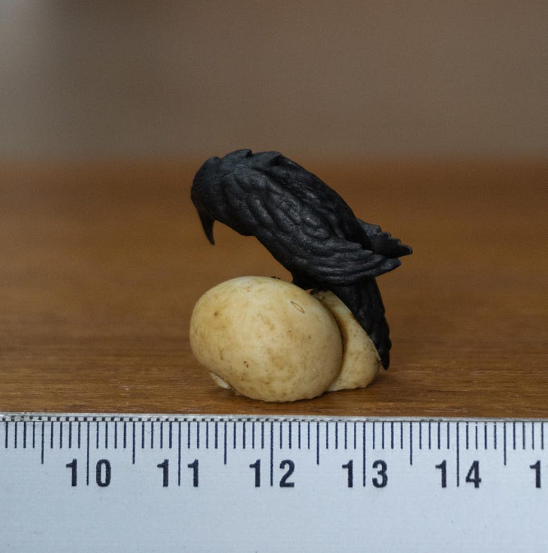 Miniature Raven on Skulls, 1:12 Scale Mini Black Birds - Etsy Australia