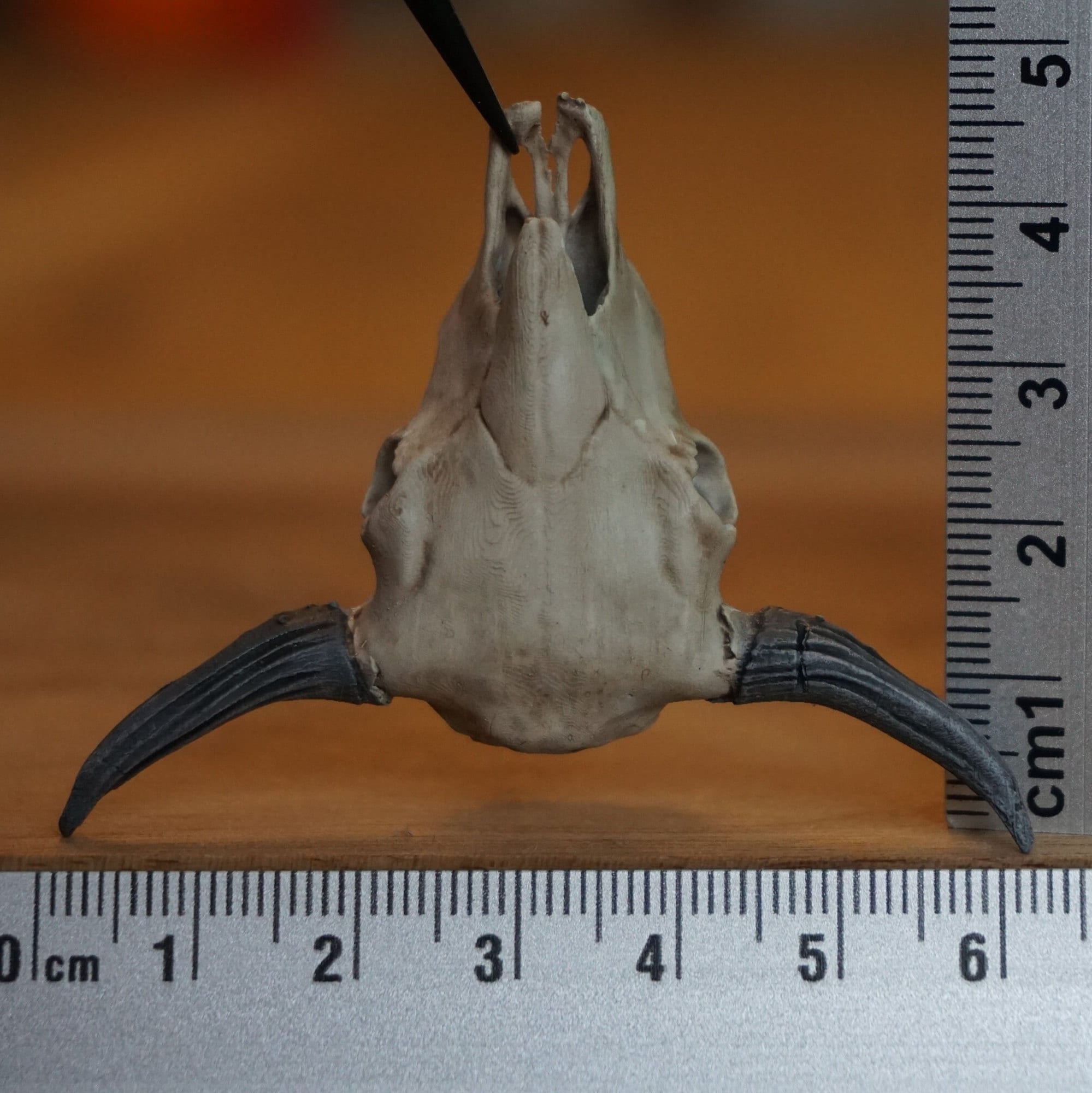 Miniature Bison Skull, 1:12 Scale for Western Desert Diorama, Dollhouse ...