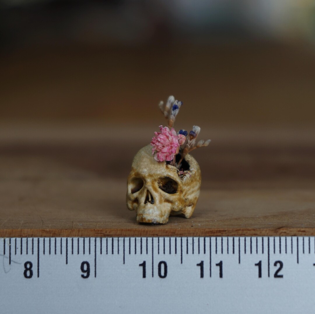 Miniature Skull Damaged, Horror Halloween-diorama, Terrarium Decoration ...