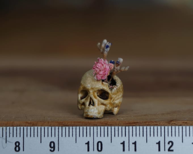 Demon Goat Skull - 1:12 Scale Miniature Cranium Size for Occult Diorama ...