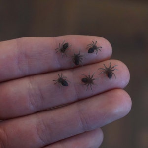 Miniature Spiders, 1:12 Scale Miniature Size for Horror Diorama ...