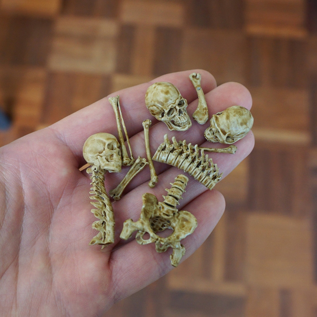 Miniature Human Bones, Horror Halloween Diorama, Terrarium, Room Box - Etsy