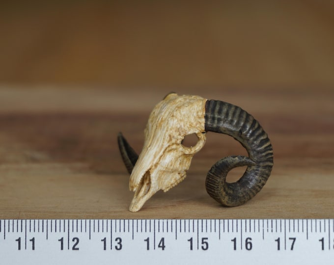 Demon Goat Skull - 1:12 Scale Miniature Cranium Size for Occult Diorama ...