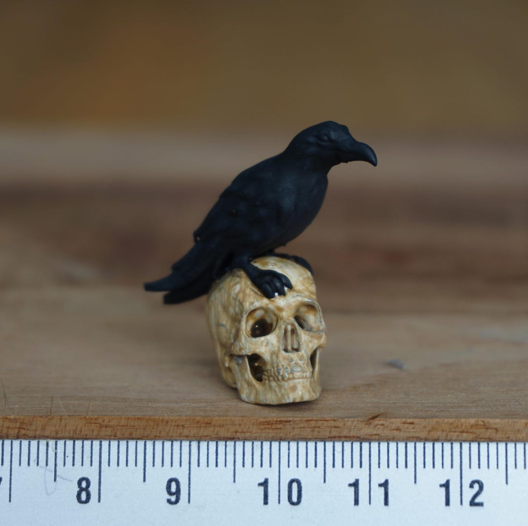 Miniature Raven on Skull, 1:12 Scale Mini Black Birds - Etsy
