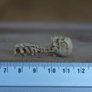Miniature Human Bones, Horror Halloween Diorama, Terrarium, Room Box - Etsy