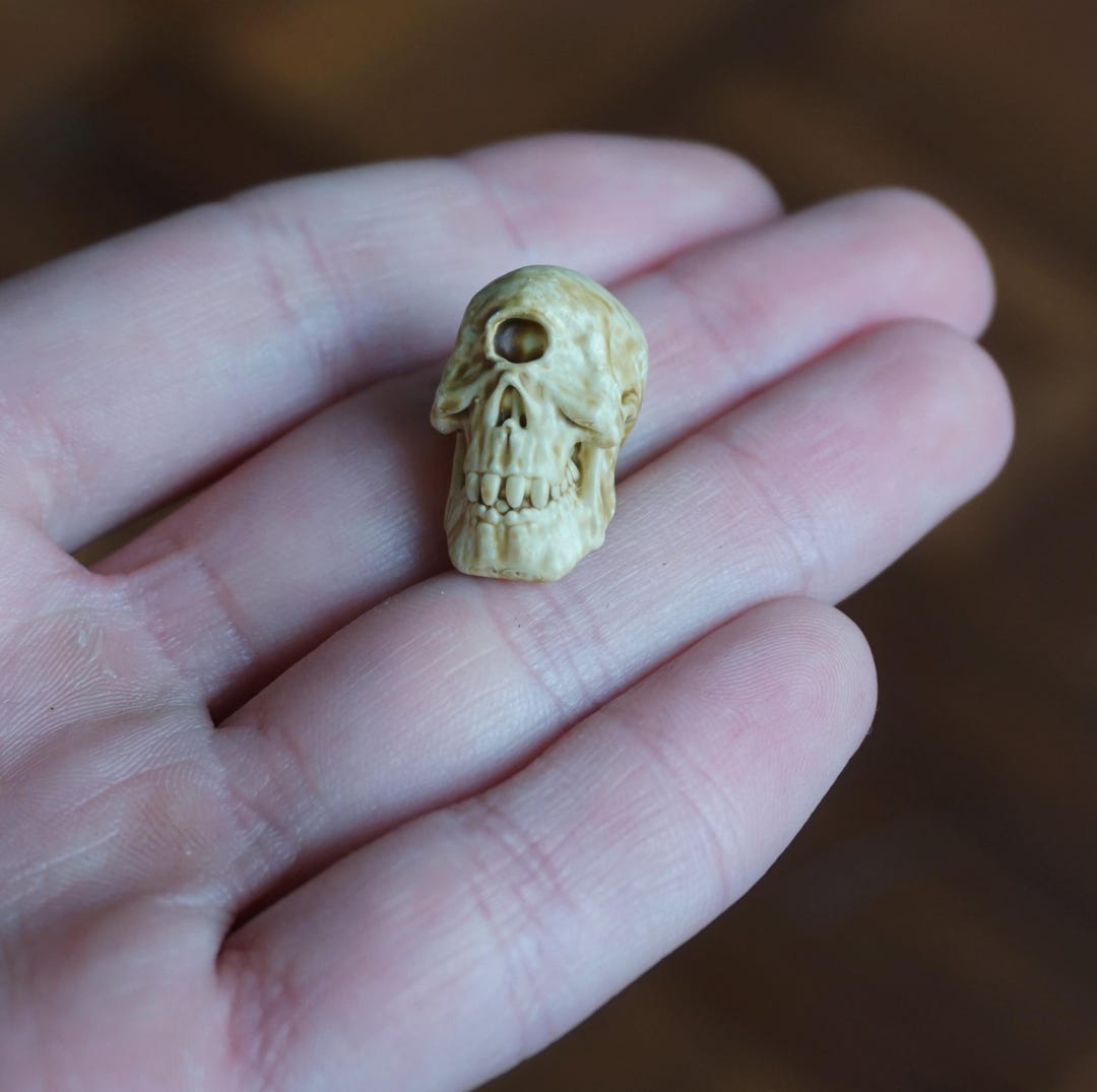 Miniature Cyclops Skull, Horror Halloween-diorama, Terrarium Decoration ...