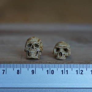 Miniature Human Bones, Horror Halloween Diorama, Terrarium, Room Box - Etsy
