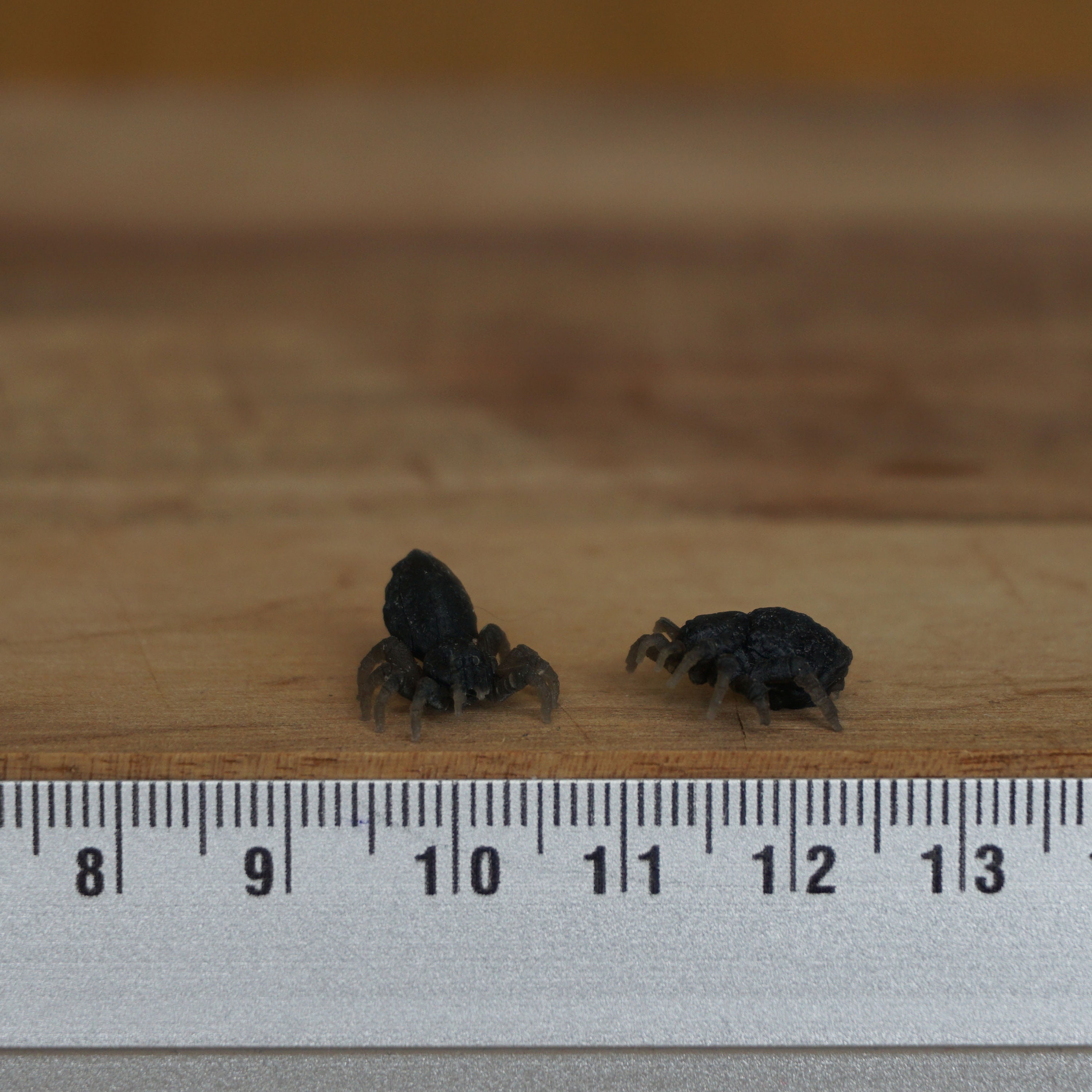 Miniature Spiders, 1:12 Scale Miniature Size for Horror Diorama ...