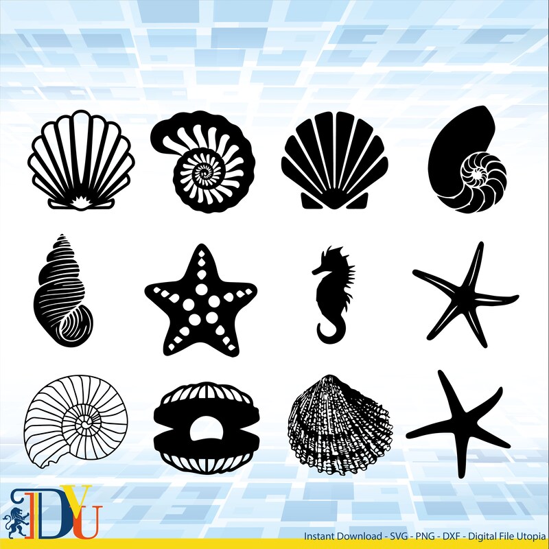 Shell Svg - Etsy