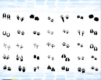 Animal Foot Print Svg Png, Animal Tracks SVG, Footprints Svg, Wild ...