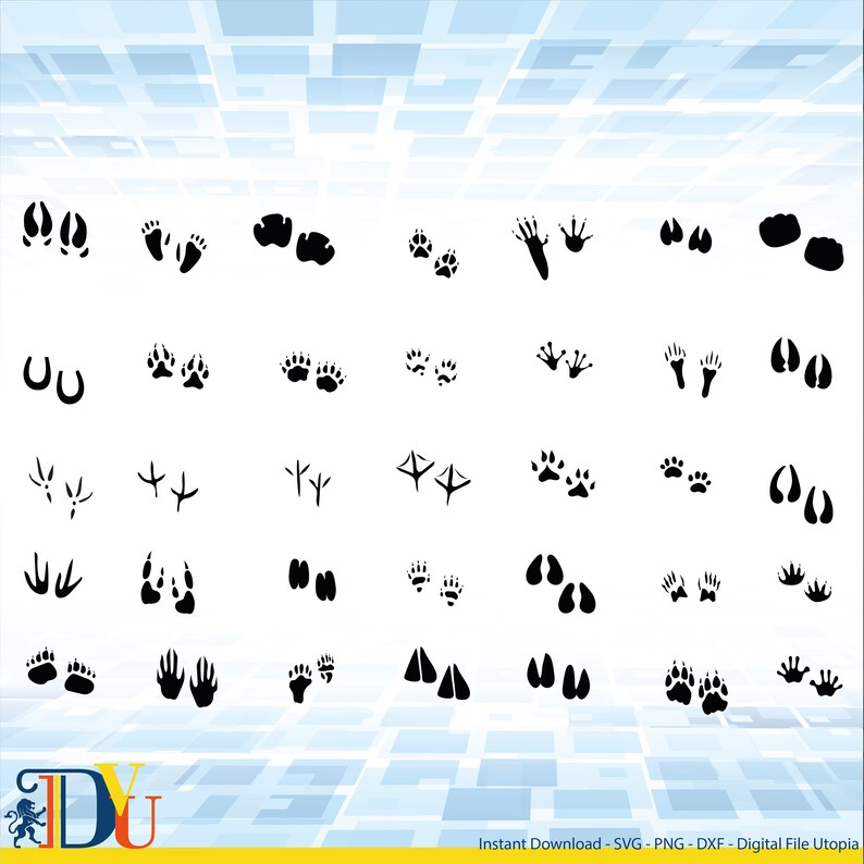 Animal Foot Print Svg Png, Animal Tracks SVG, Footprints Svg, Wild ...
