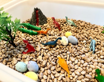 Digging for Dinosaur Fossil Sensory Bin Set NEW VERSION Small Sensory ...