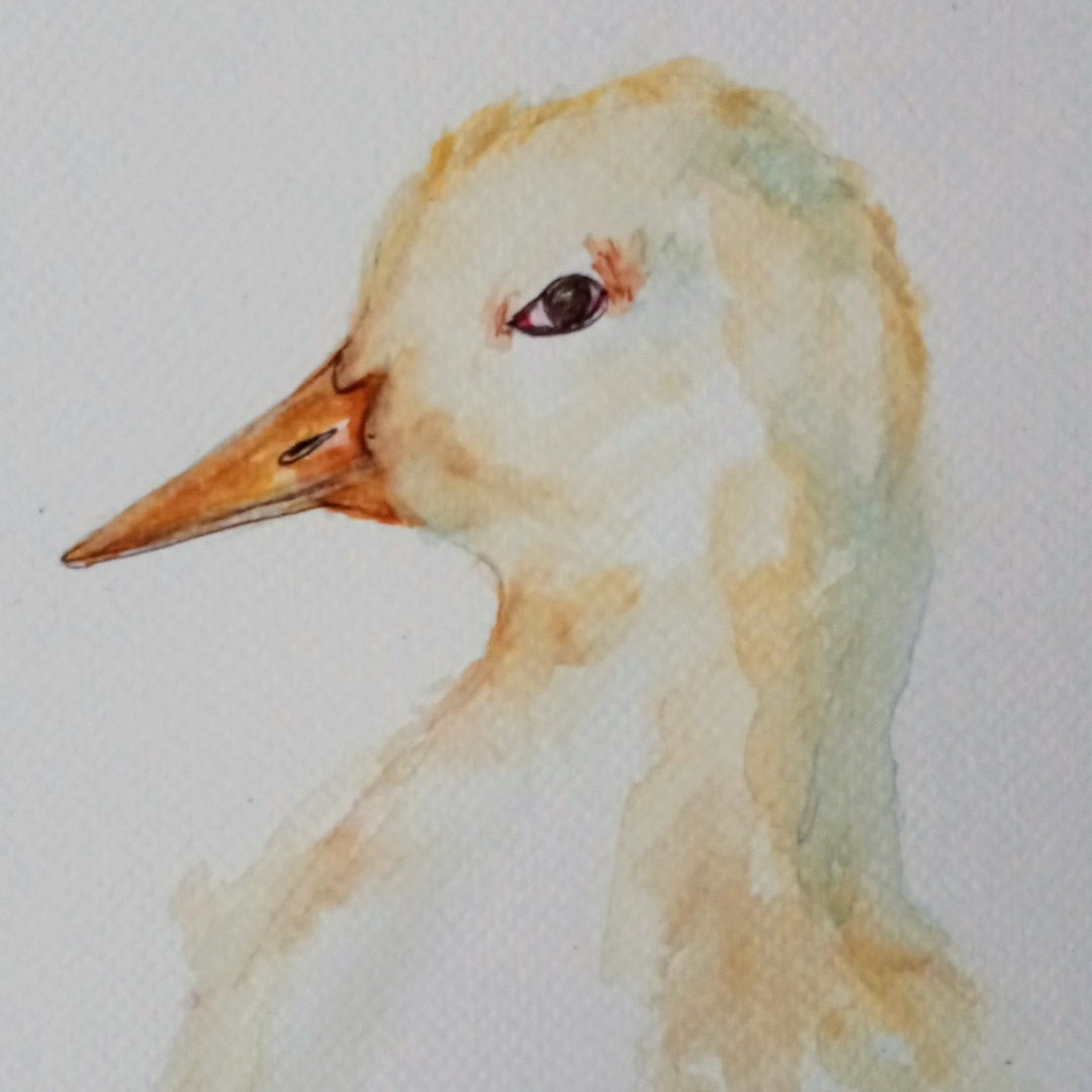 Lil' Duckie Watercolor Painting - Etsy
