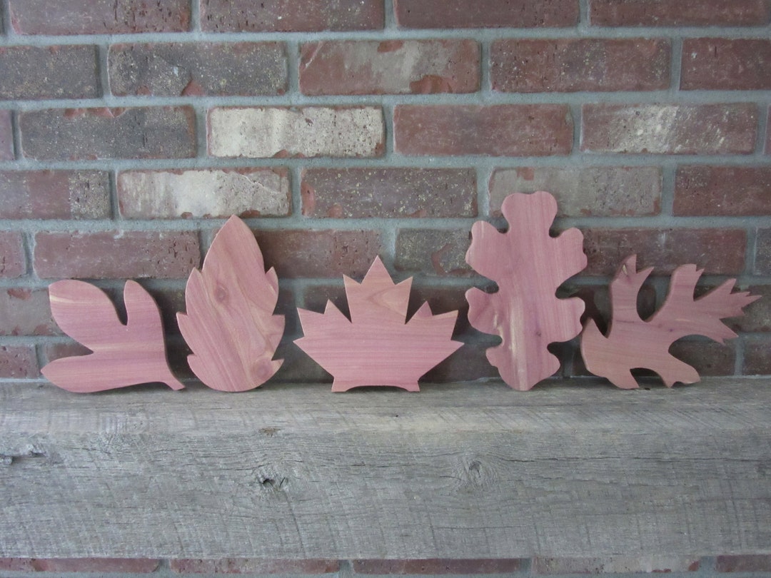 Aromatic Red Cedar Fall Leaves Decor Set of 5 - Etsy
