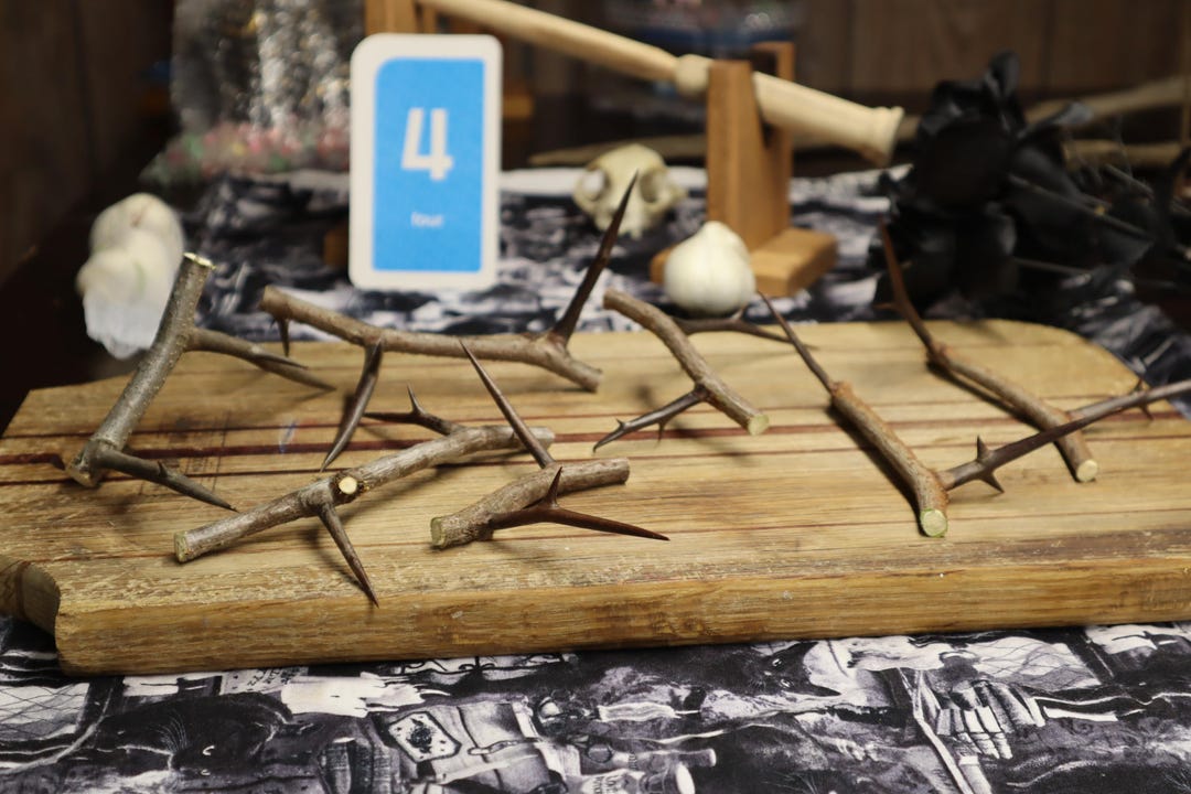 7 Thorn Sticks, Sizes Vary Sharp Long Thorns on the Branch. - Etsy