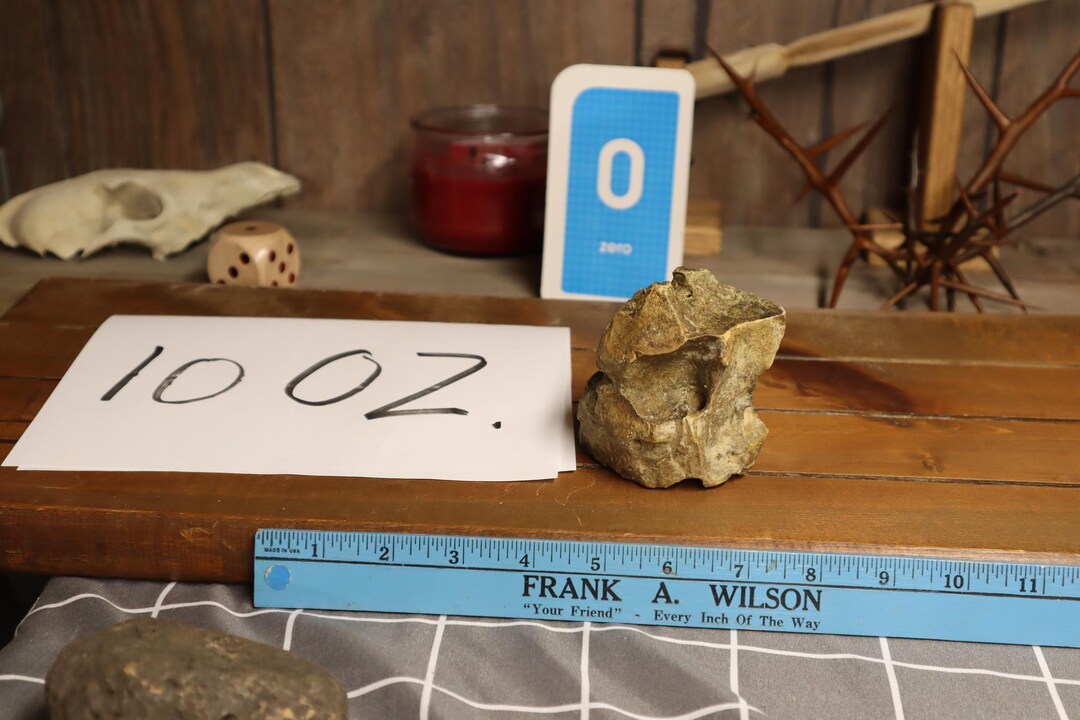 10 Ounce Stone Aquarium Rock Terrariums - Etsy