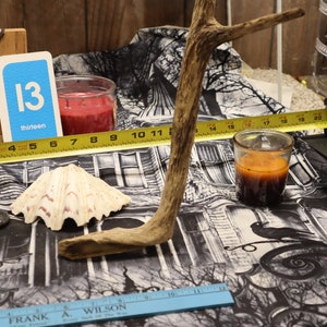 Forked Cane Shaped Cleaned Driftwood Pieces Weathered Rustic Look Art ...