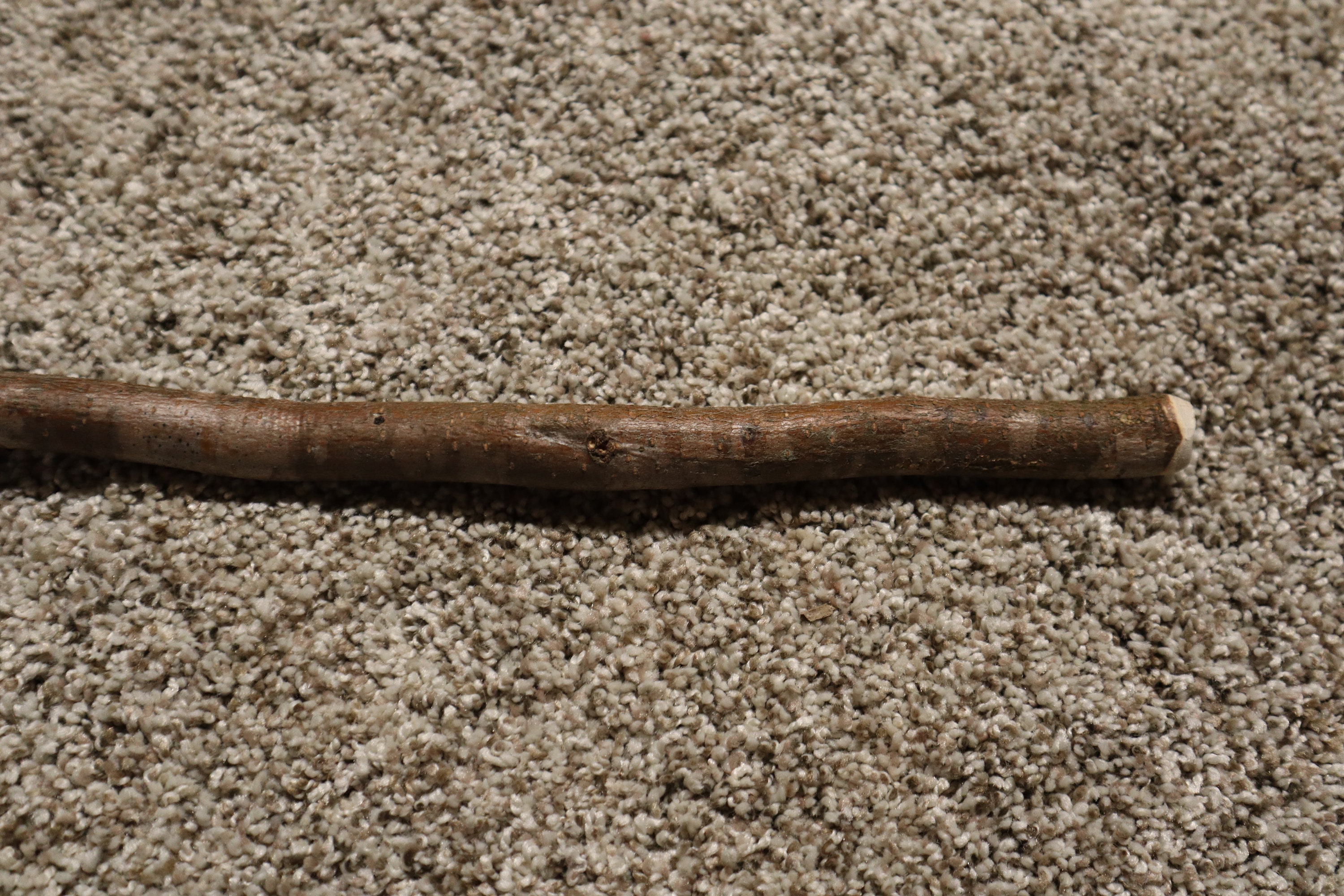 12 Inch Hawthorn Vampire Stake - Etsy