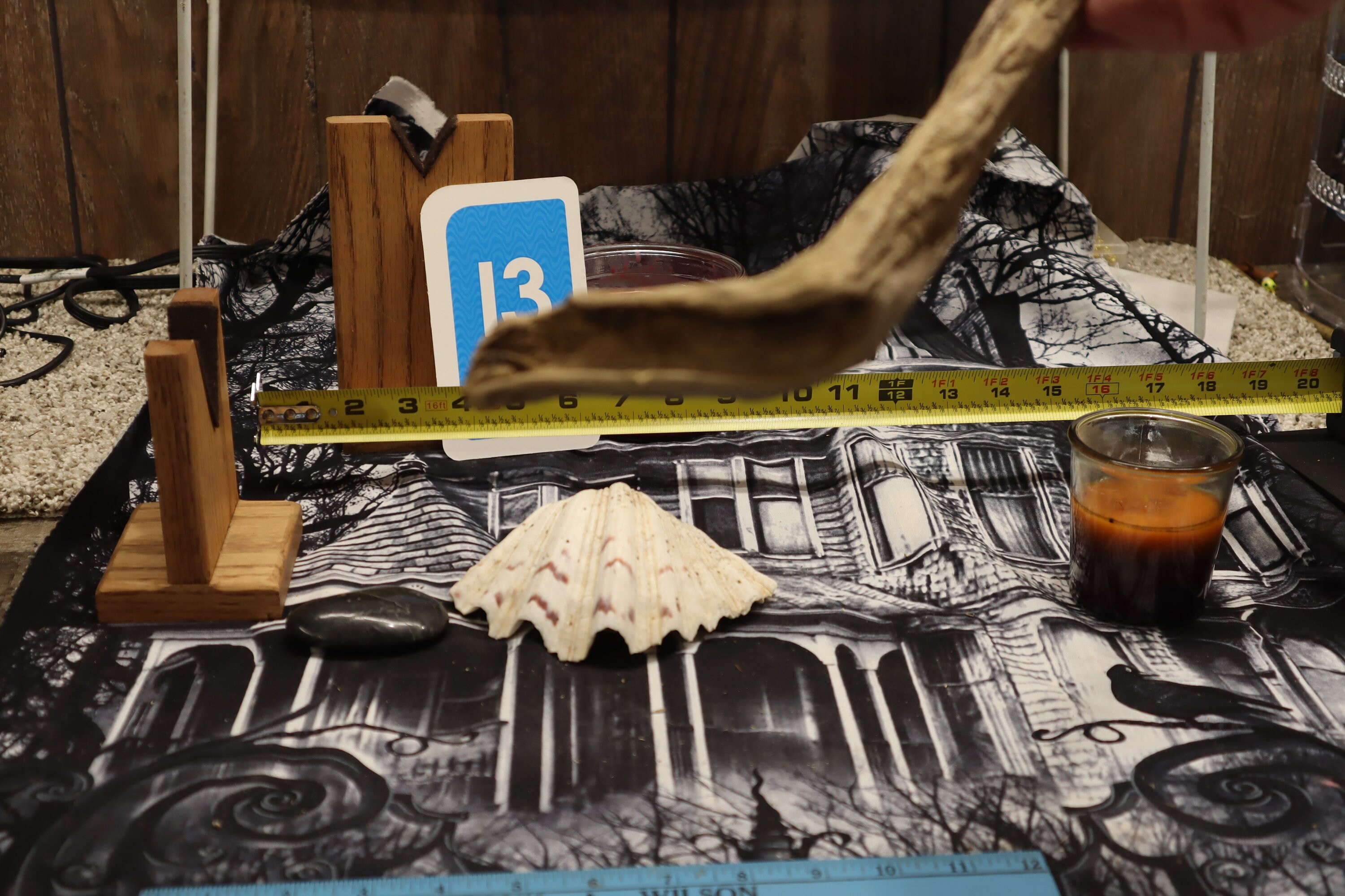 Forked Cane Shaped Cleaned Driftwood Pieces Weathered Rustic Look Art ...