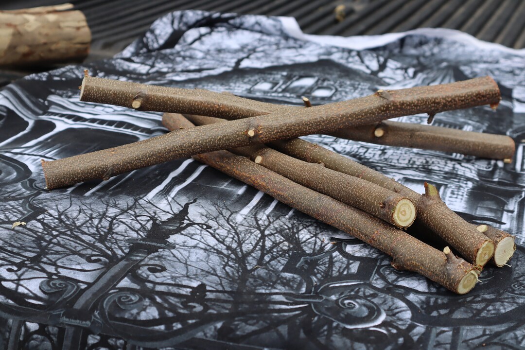 14 Inch Long Yellow Birch Mini Logs. 14 X 1/2 To1.5 In. 20 Logs - Etsy