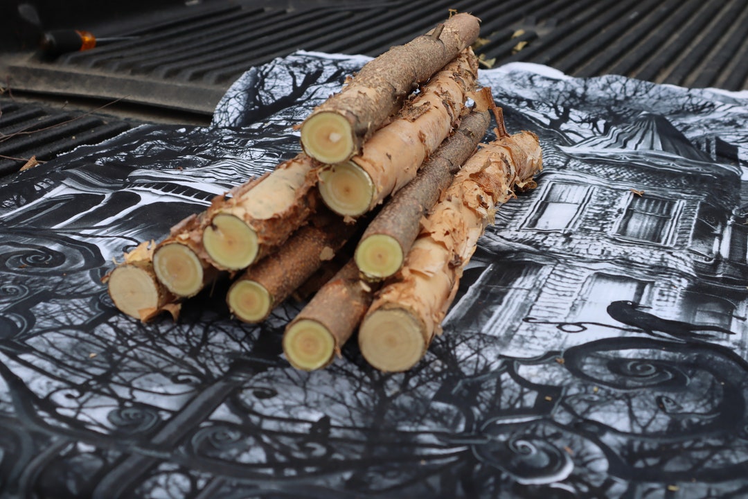 14 Inch Long Yellow Birch Mini Logs. 14 X 1. Ten Logs - Etsy