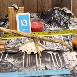 Forked Cane Shaped Cleaned Driftwood Pieces Weathered Rustic Look Art ...