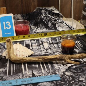 Forked Cane Shaped Cleaned Driftwood Pieces Weathered Rustic Look Art ...