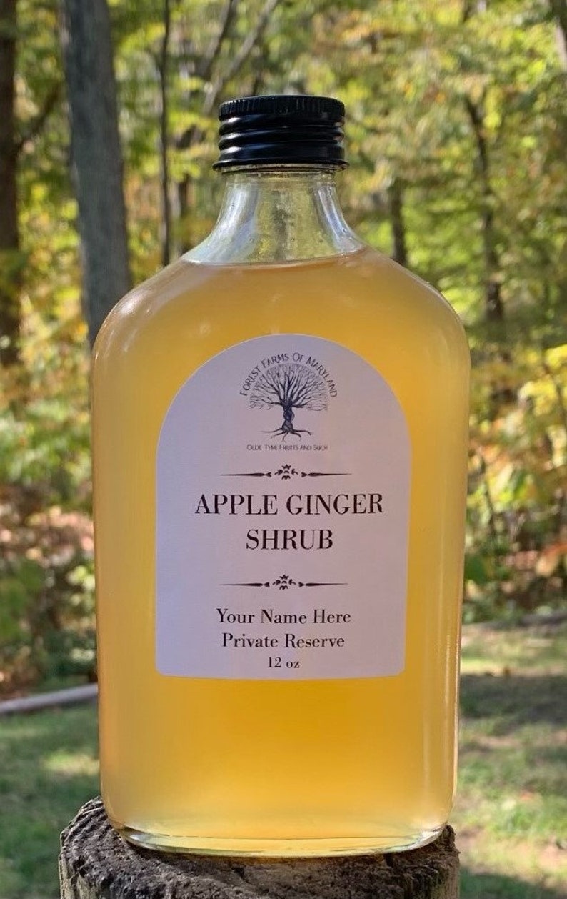 12 Oz Flask of Apple Ginger Shrub: Fruit Infused Vinegar, Perfect for ...