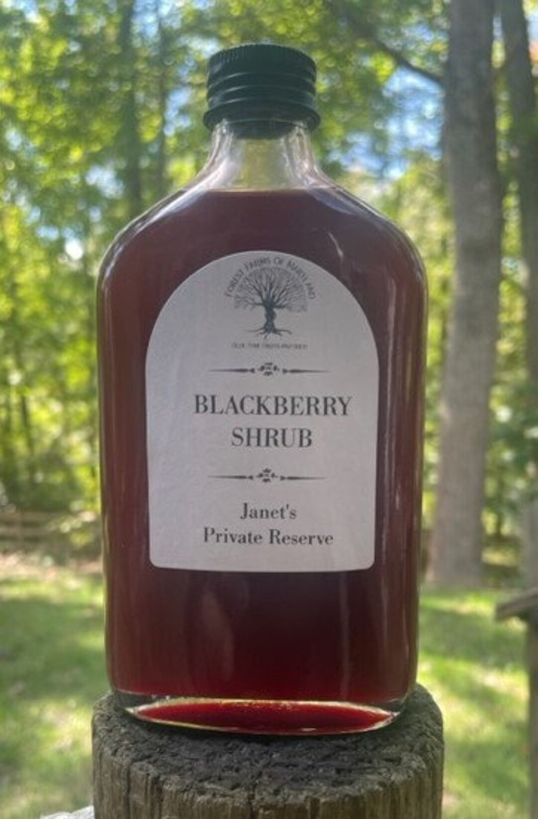 Blackberry Shrub: Fruit Infused Vinegars - Etsy