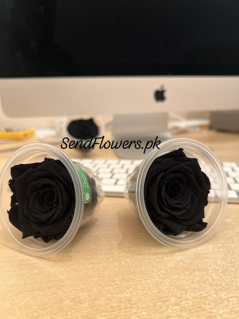 Limited Offer - Premium Black Forever Rose | Infinity Black Love Rose ...