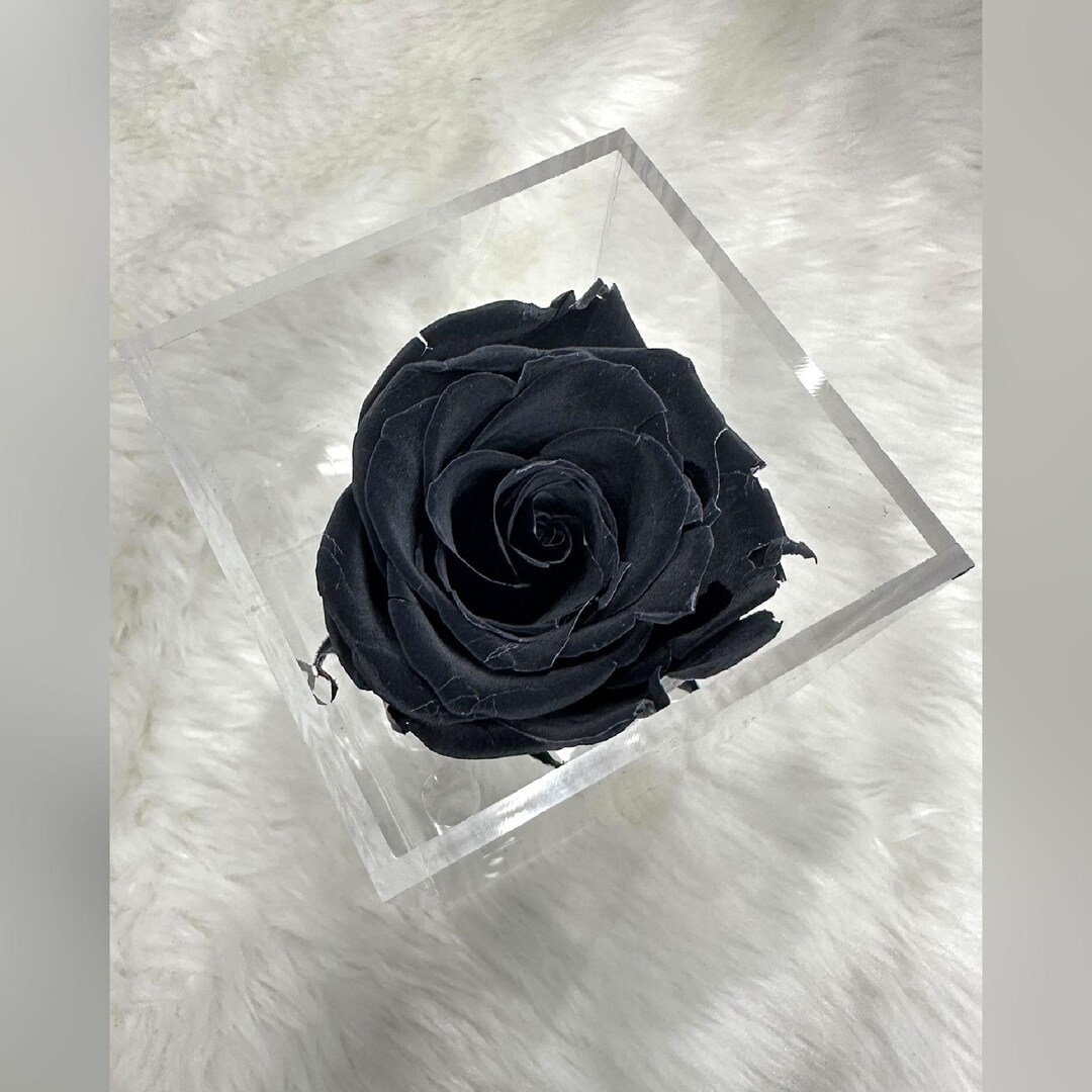 Limited Offer - Premium Black Forever Rose | Infinity Black Love Rose ...