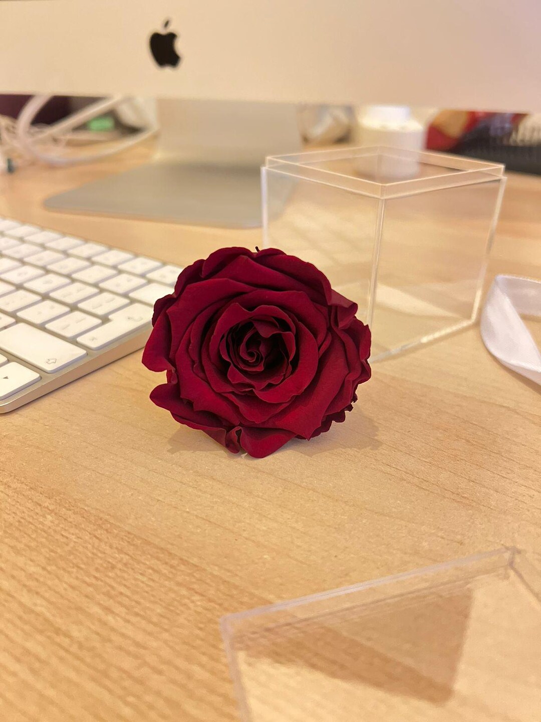 Single Preserved Real Red Rose Gift for Her Gift for Wife Girlfriend ...
