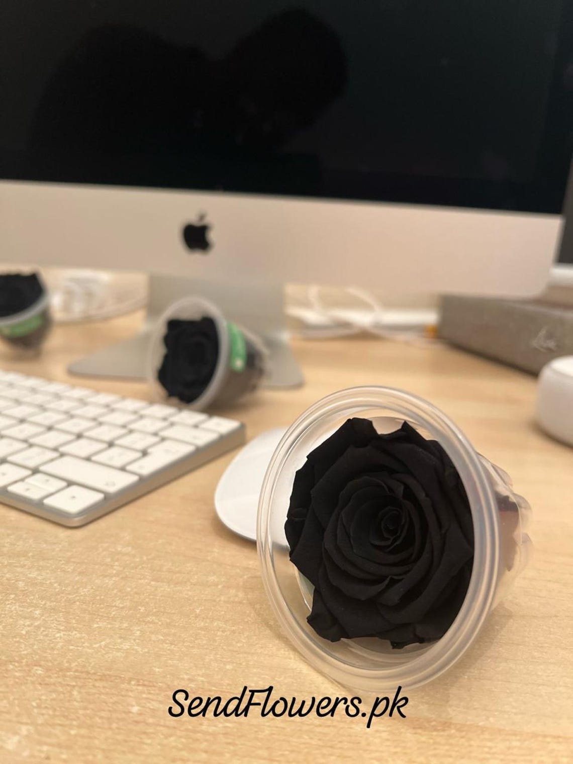 Limited Offer - Premium Black Forever Rose | Infinity Black Love Rose ...