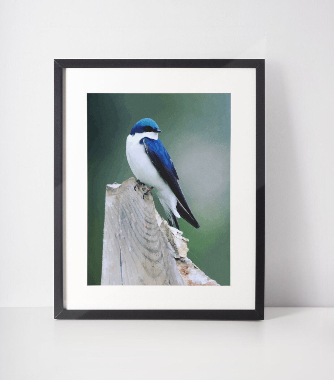Blue Barn Swallow Vector Painting: Nature Photography (digital Download ...